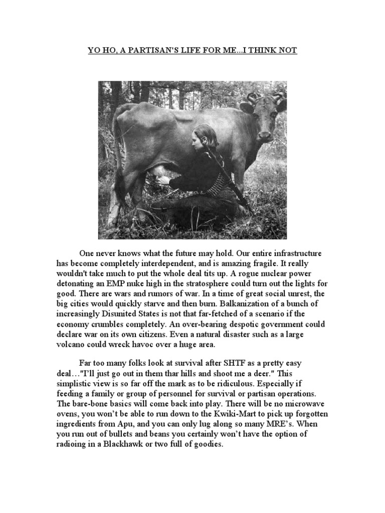 Thoughts On SHTF and Partisan Warfare | PDF | Fortification | Cereals