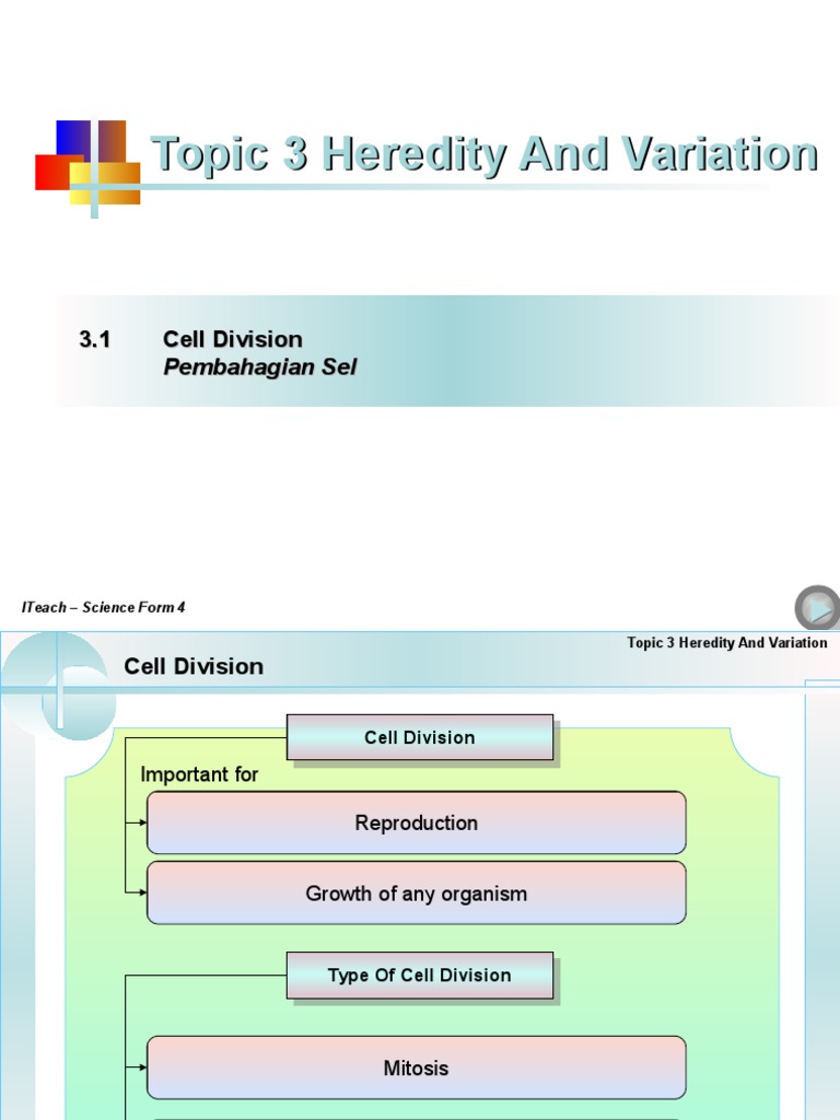 Chapter 3 Cell Division | PDF | Science & Mathematics
