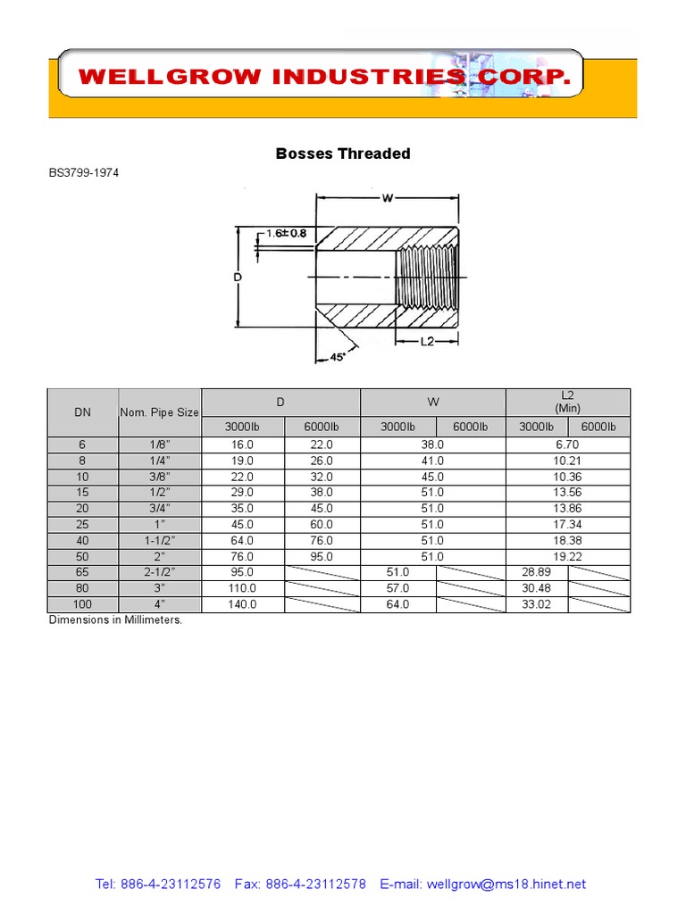 Welding Boss-Threaded y SW | PDF | Gas Technologies | Equipment