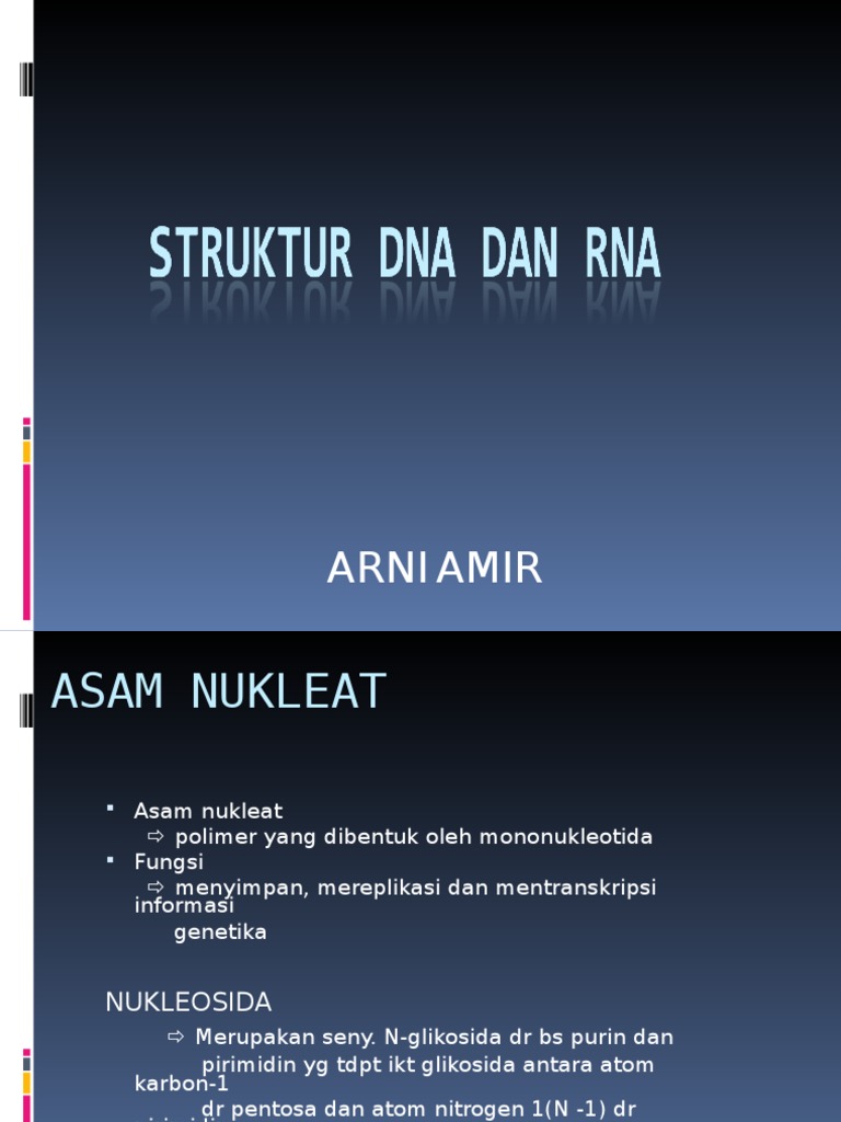 1.1.5.4 - Struktur & Fungsi DNA Dan RNA Beserta Kestabilannya | PDF