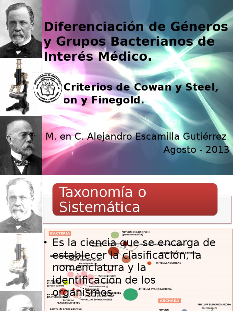 Diferenciación de Géneros y Grupos Bacterianos de Interés | PDF ...