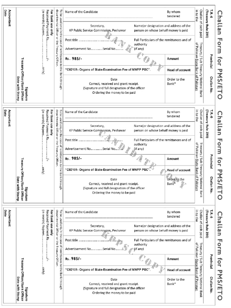 KPPSC Challan Form For Pms | PDF