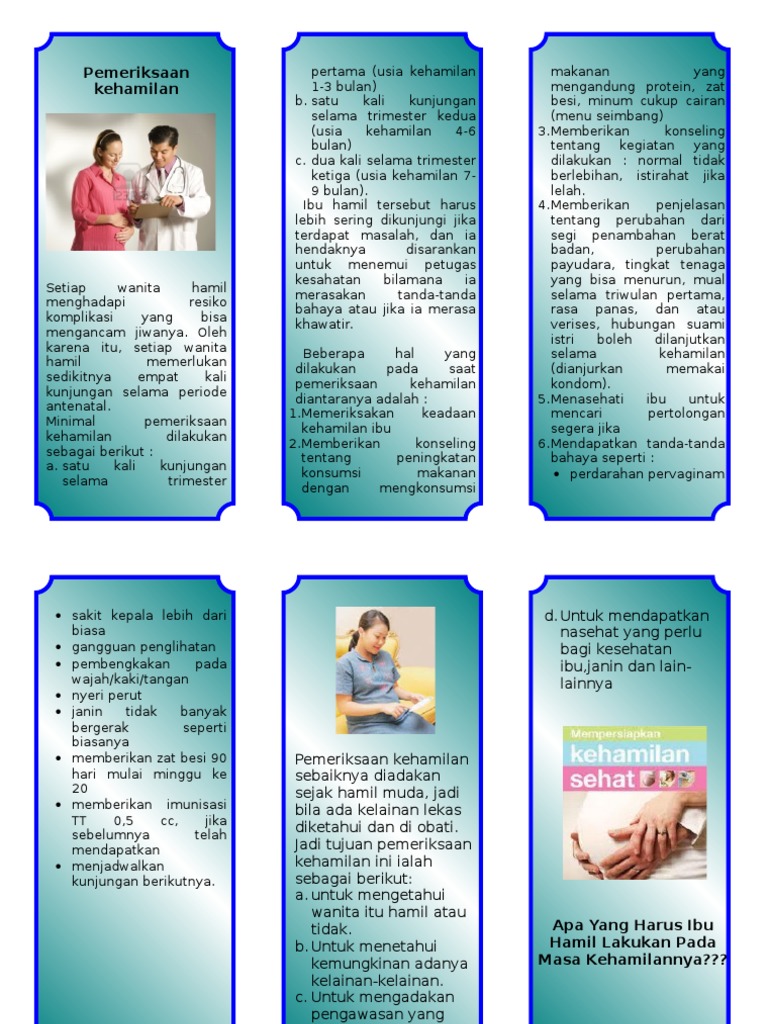 A4 Leaflet Pemeriksaan Ibu Hamil | PDF | Kesehatan Holistik | Sains & Matematika