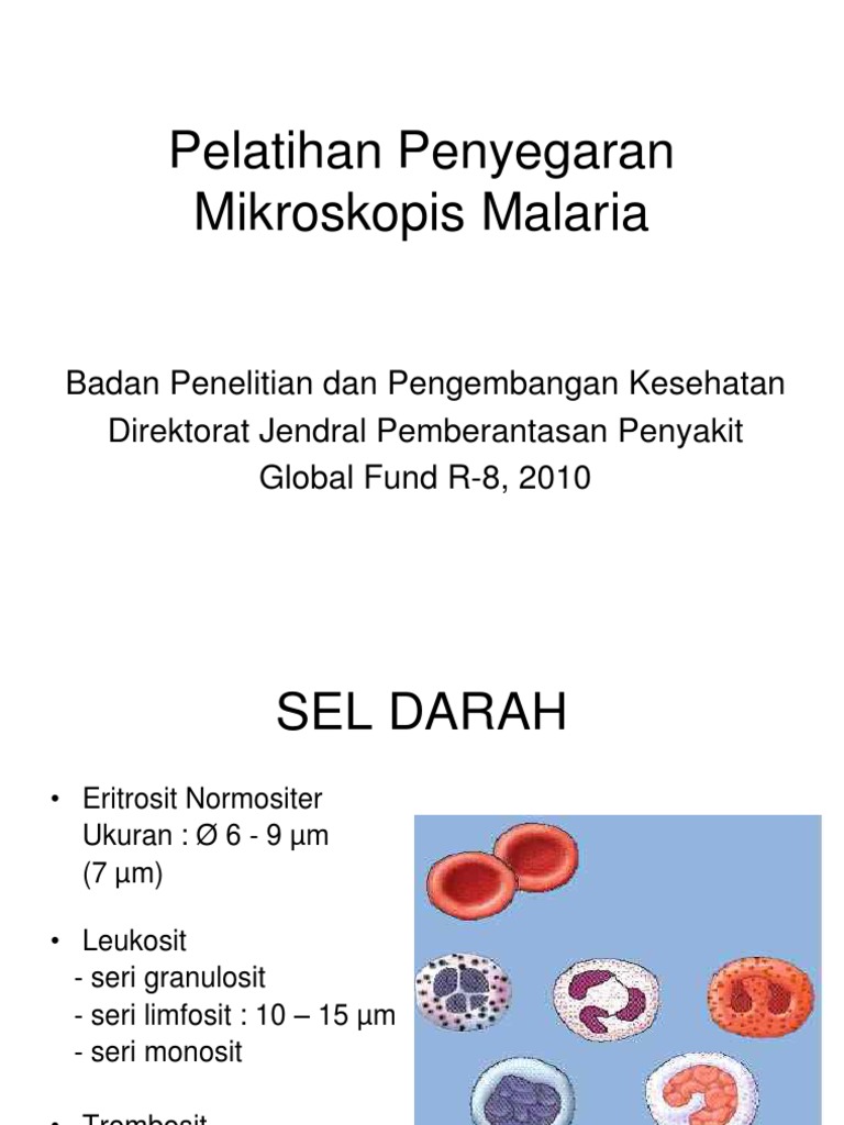 Morfologi Malaria | PDF