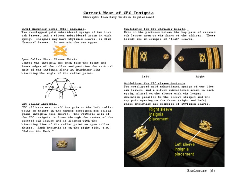 ENCL 6 - CEC Insignia Correct Wear | PDF