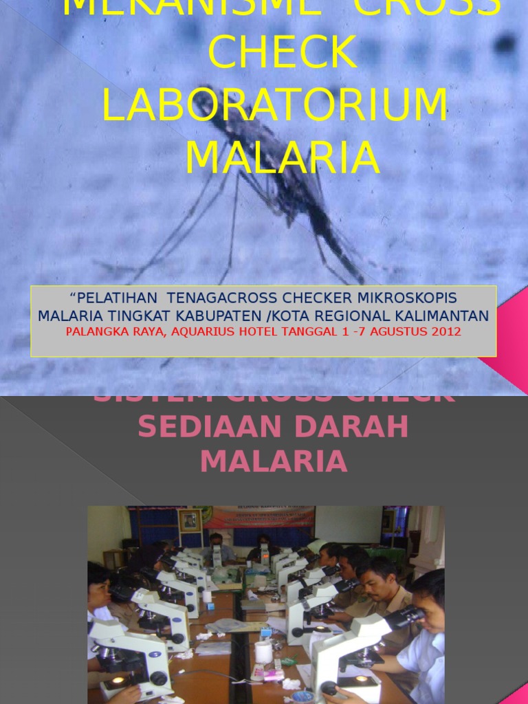 Mekanisme Crosscheck | PDF