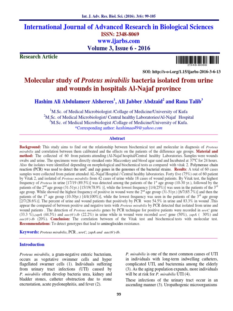 Proteus Mirabilis | PDF | Urinary Tract Infection | Life Sciences