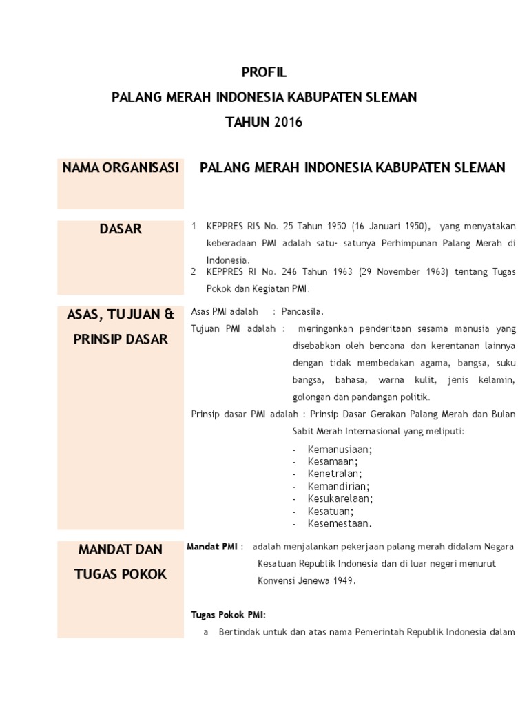 Profil Pmi SLM 2016 | PDF