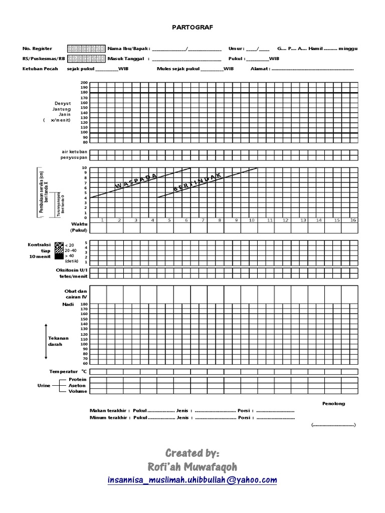 Partograf Terbaru PDF | PDF