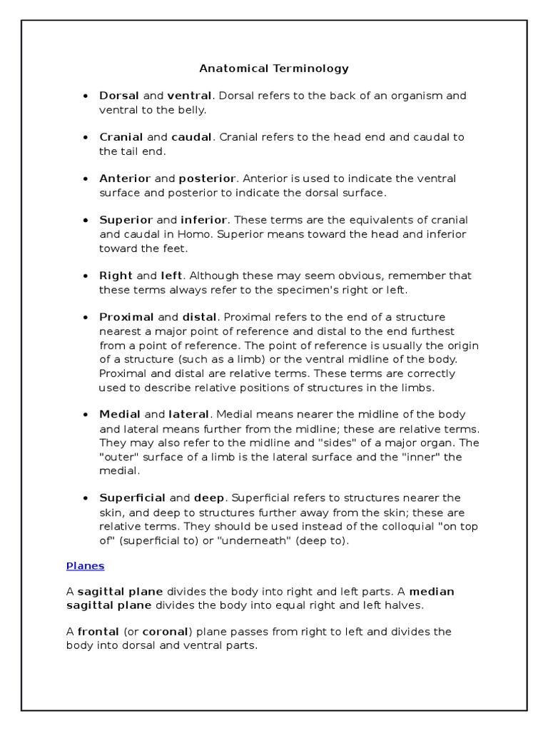 Anatomical Terminology | Anatomical Terms Of Location | Anatomical ...