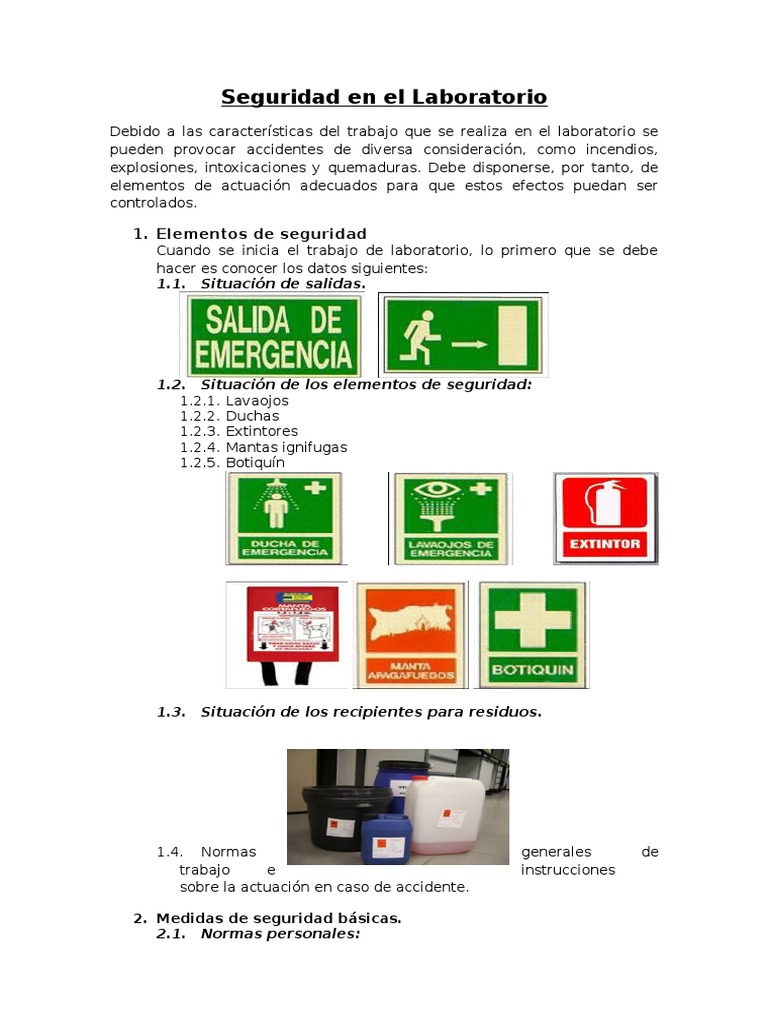Seguridad en El Laboratorio | PDF | Minería | Organización ...