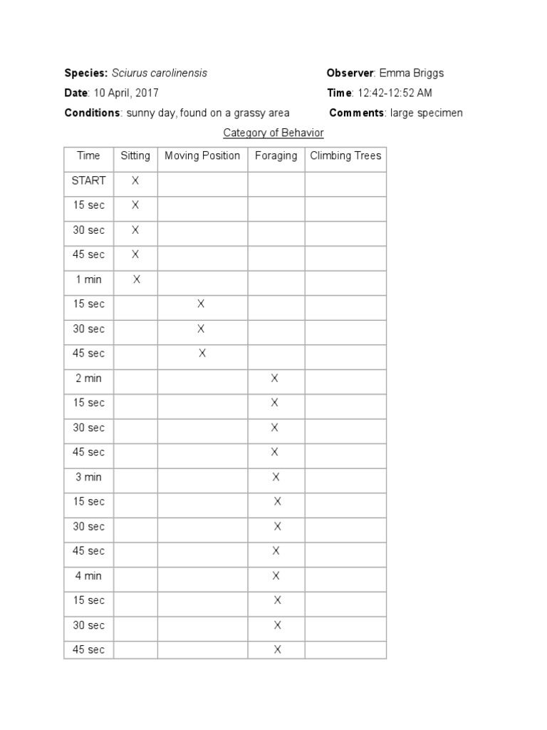 Gray Squirrel Ethogram | PDF