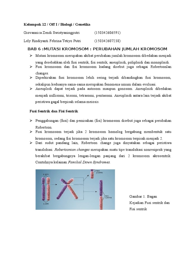 Poliploidi Dan Monoploidi Fix | PDF