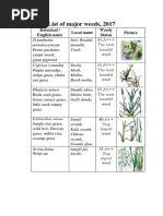 Weed Identification and Chemical Control. | PDF | Plants | Horticulture