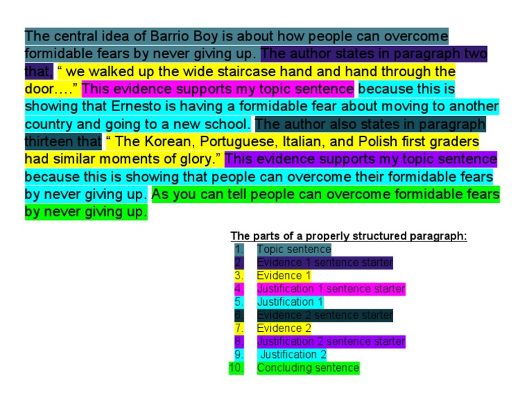 Torey Summers-Barrio Boy Model Structure 1 | PDF