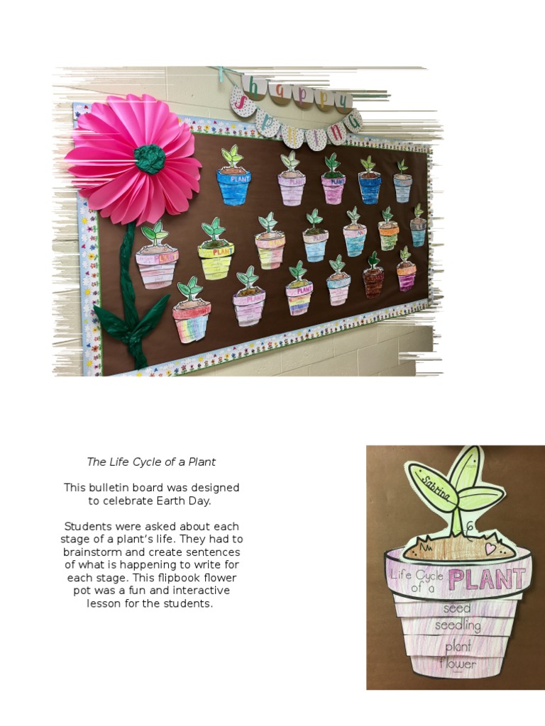 Earth Day Plant Life Cycle Bulletin Board | PDF | Organisms | Plants
