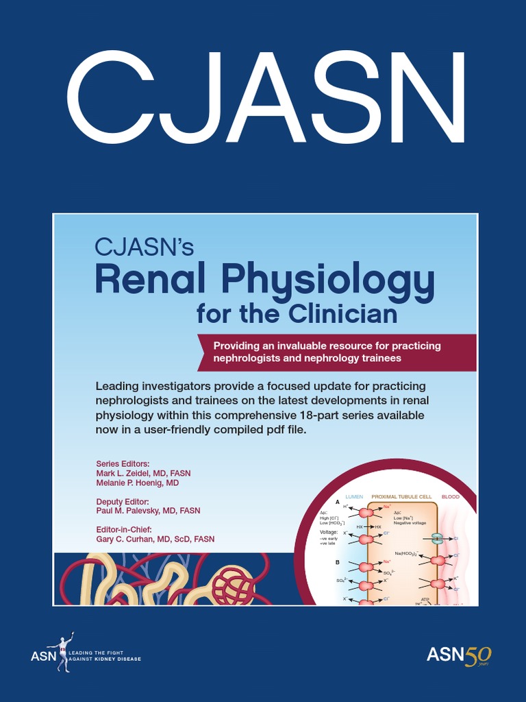 Renal Physiology For The Clinician Full Series CJASN | PDF | Kidney ...