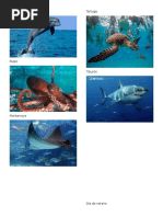 10 Animales Que Nadan | PDF