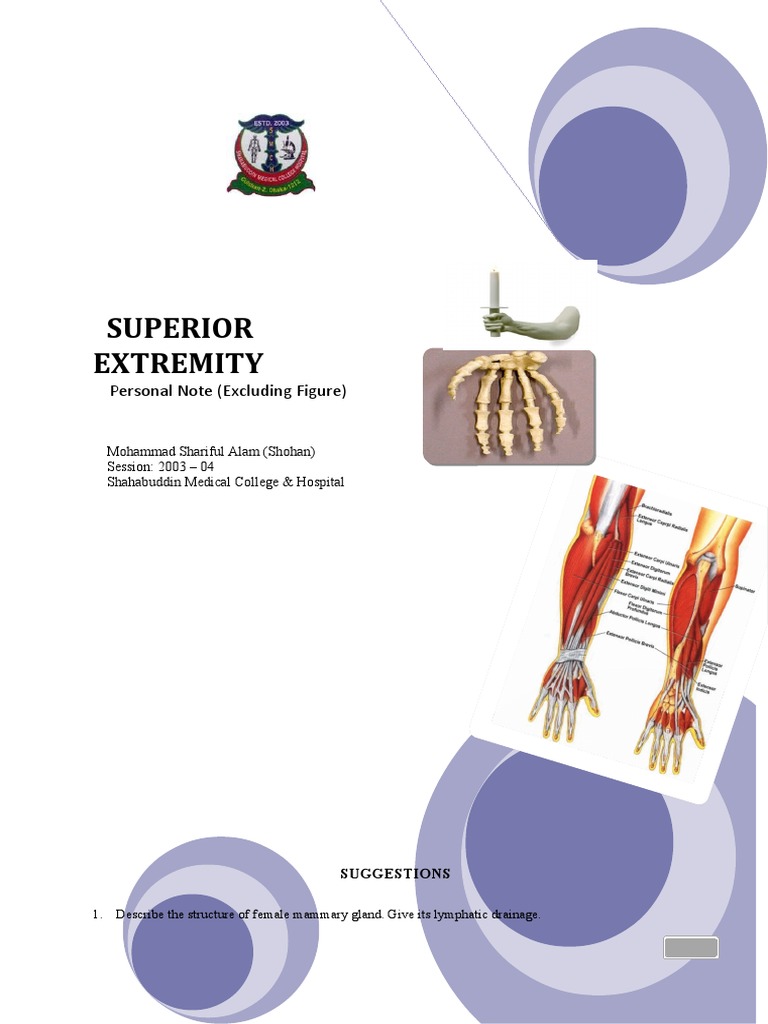 Superior Extremity: Personal Note (Excluding Figure) | PDF | Elbow | Arm