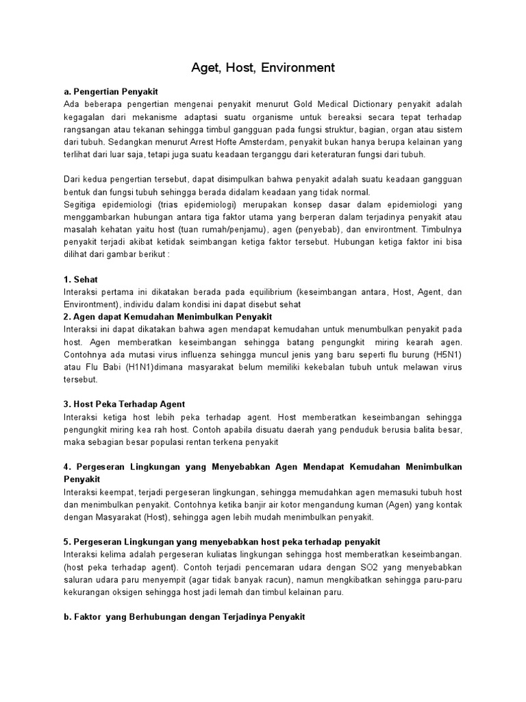 Agent Host Environment | PDF