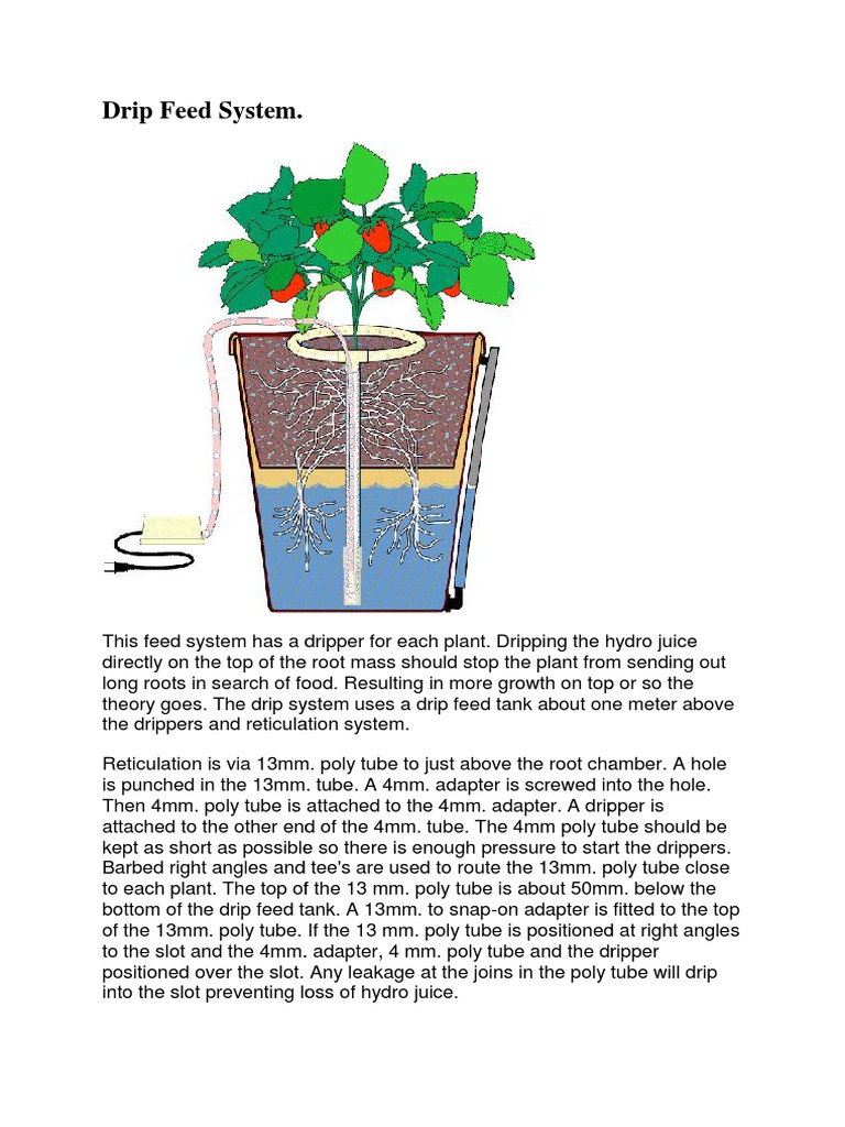 Drip Feed System | PDF | Ph | Reservoir