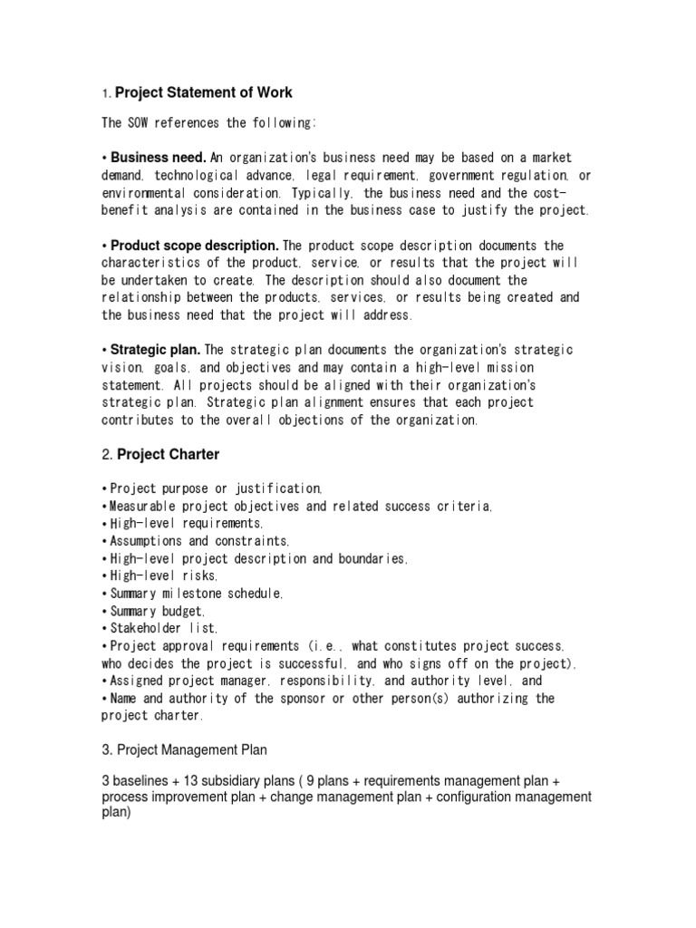 Project Statement of Work: - Business Need | PDF