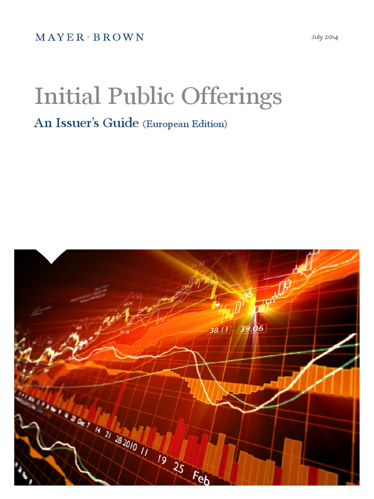 Initial Public Offerings An Issuers Guide 1 | PDF | Board Of Directors ...