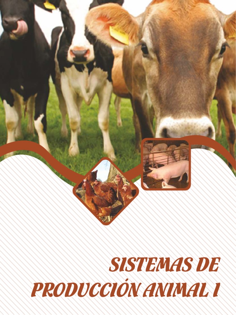 SISTEMAS DE PRODUCCION ANIMAL.pdf | Chicken | Sheep