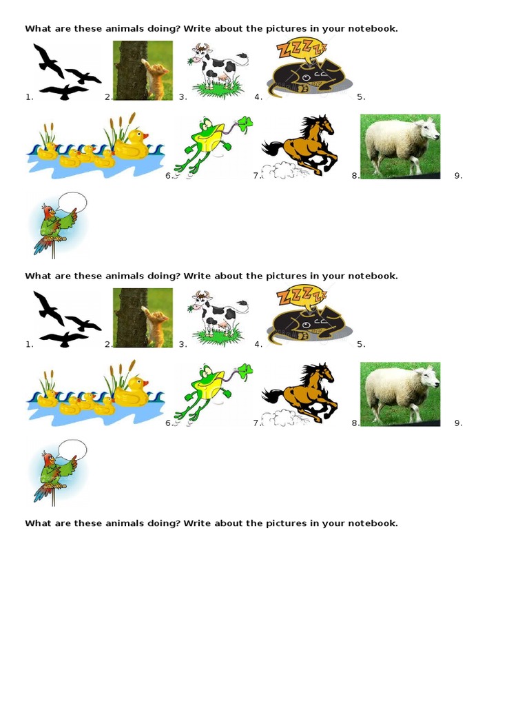 What Are These Animals Doing? Write About The Pictures in Your Notebook ...