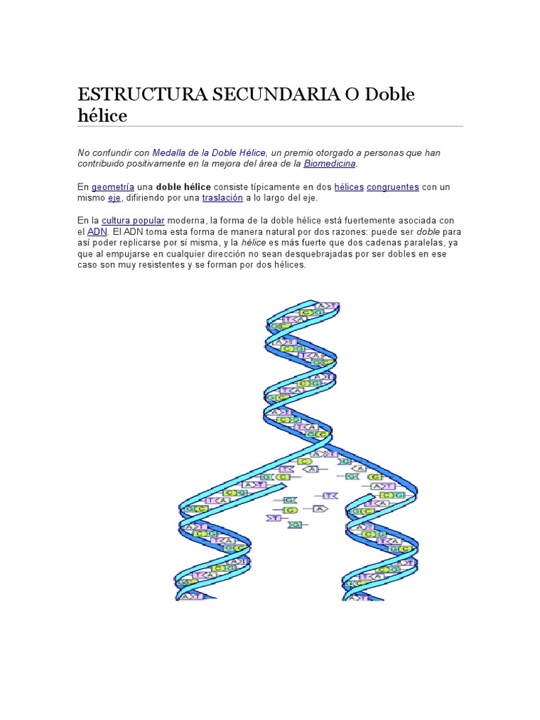 Estructura Secundaria o Doble Hélice | Codigo genetico | Adn