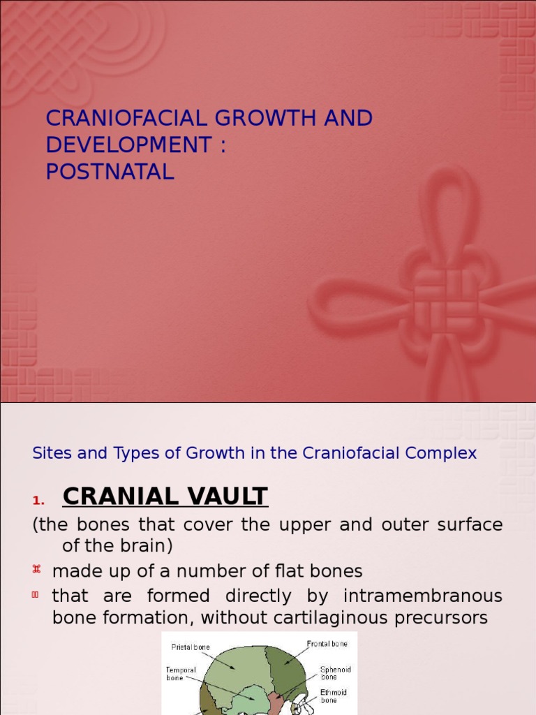 Craniofacial Growth and Development Postnatal Part2 | Skull | Bone