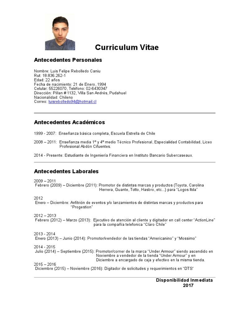 Curriculum Luis | PDF