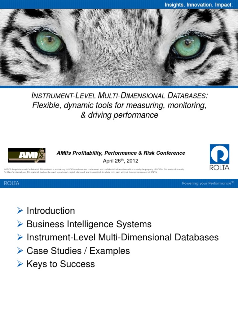Business Intelligence System and Instrumental Level Multi Dimensional ...