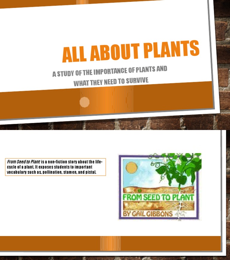 All About Plants: A Study of The Importance O F Plants and What They ...