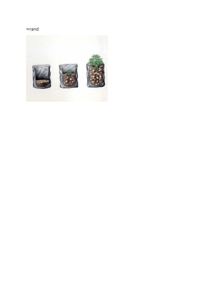 Potato | PDF