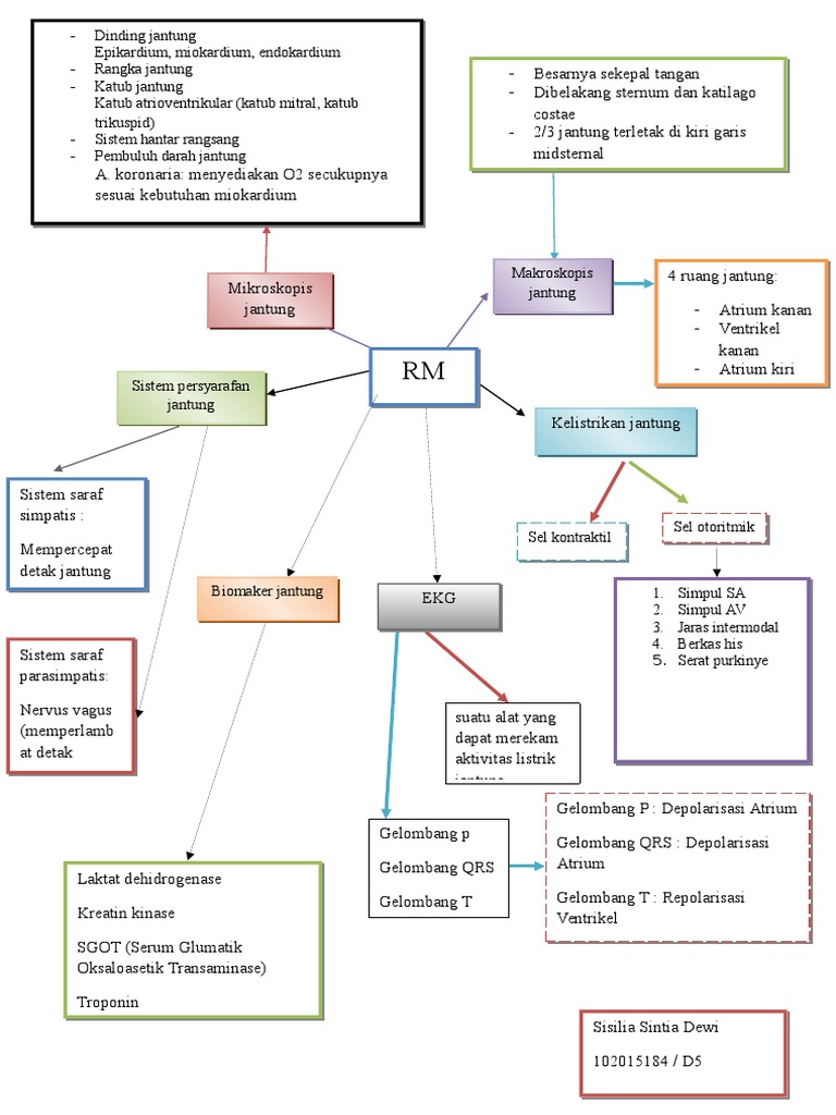 Mindmap PBL Blok 8 Kardiovaskular | PDF