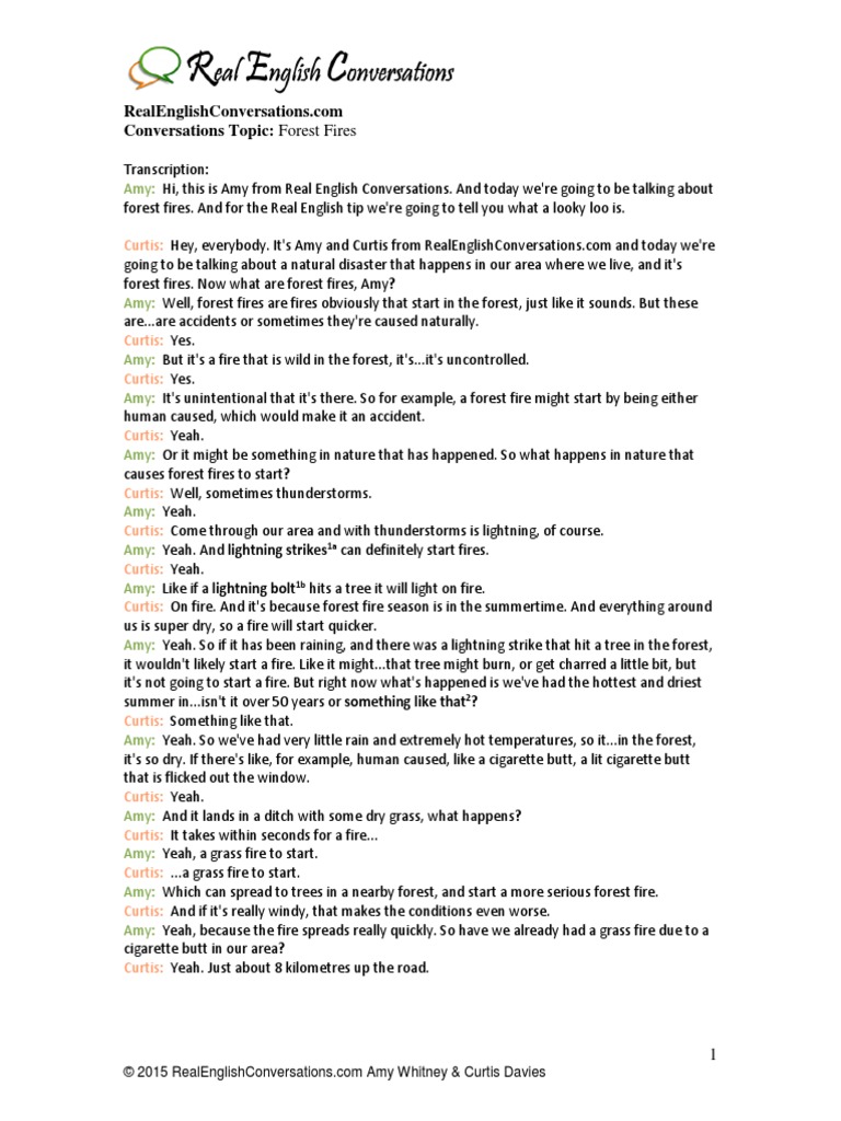 Forest Fire Lesson Notes | PDF | Wildfire | Fires