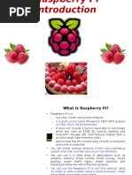 Raspberry Pi Paper Case Template | PDF