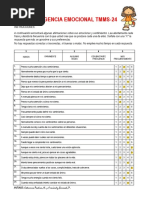 Ficha Técnica de La Prueba TMMS | PDF | Inteligencia | Las emociones
