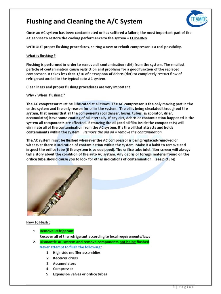 Flushing and Cleaning (EN) PDF | PDF | Leak | Vacuum