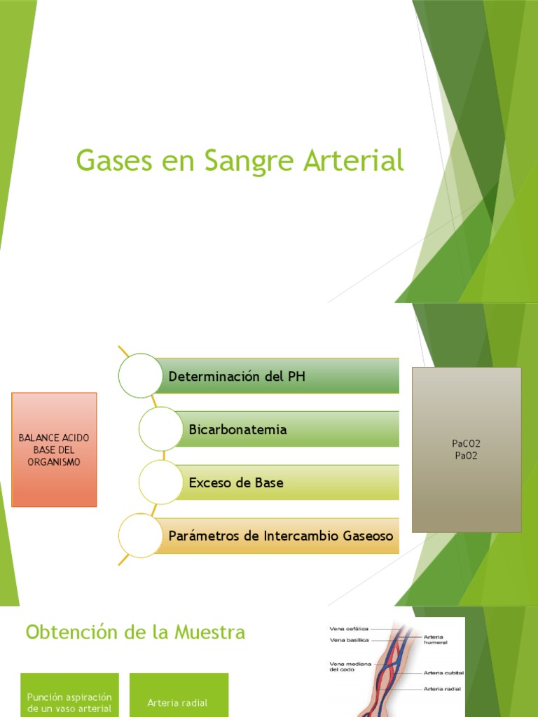 Gases en Sangre Arterial | PDF