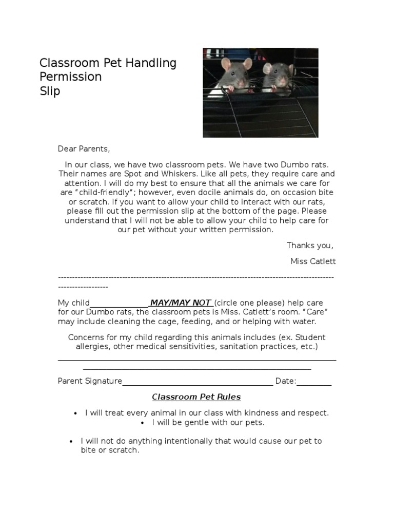 Class Pet Permission Slip | PDF | Wellness | Self-Improvement