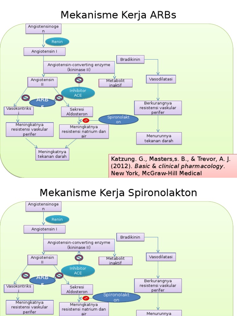 Mekanisme Kerja ARBs | PDF
