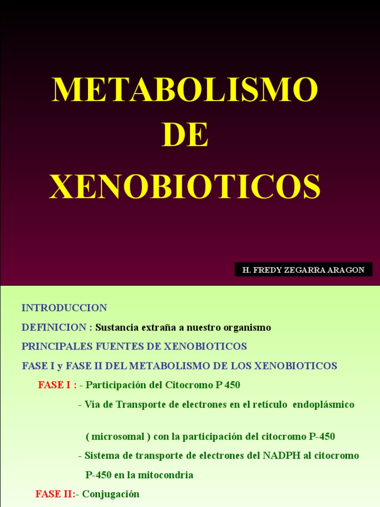 Metabolismo de Xenobioticos | PDF | Nicotinamida Adenina Dinucleótido Fosfato | Citocromo P450