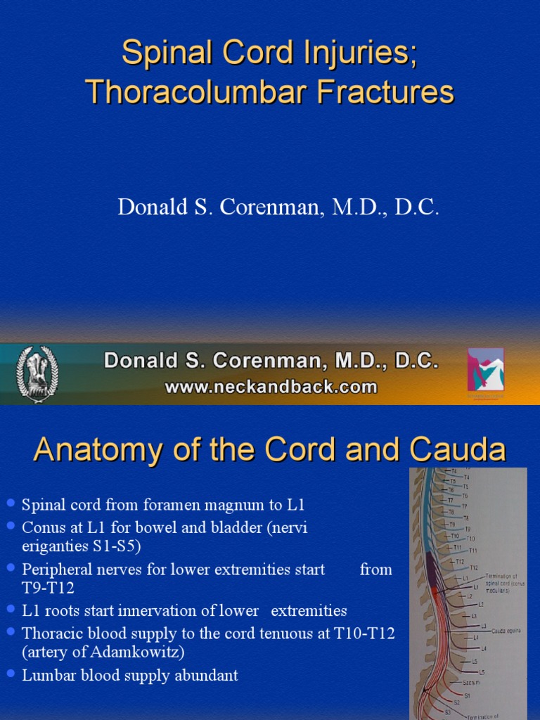 Spinal Cord Injuries Thoracolumbar Fractures | PDF | Vertebra ...