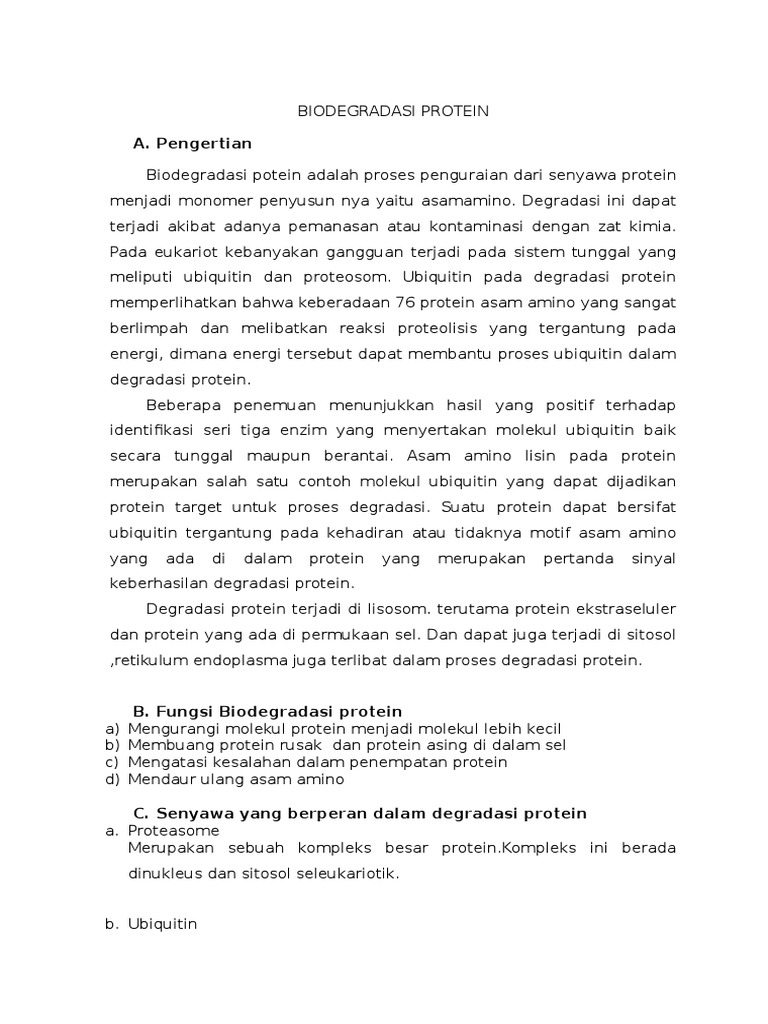 Biodegradasi Protein | PDF