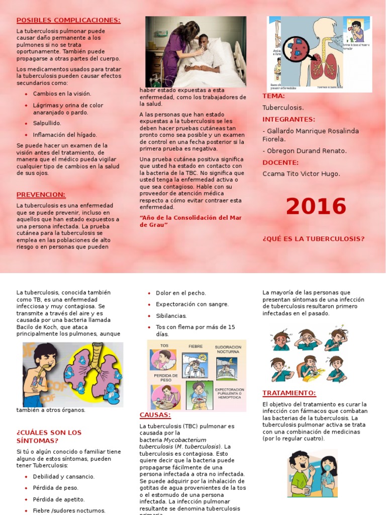 Triptico Tuberculosis | PDF | Tuberculosis | Enfermedades y trastornos