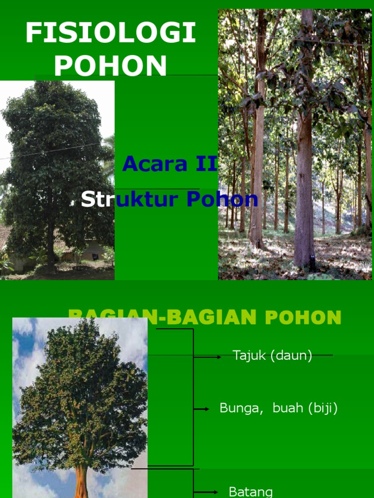 Kuliah 2 (Struktur Pohon) D3 2013-1 | PDF | Sains & Matematika | Griya ...
