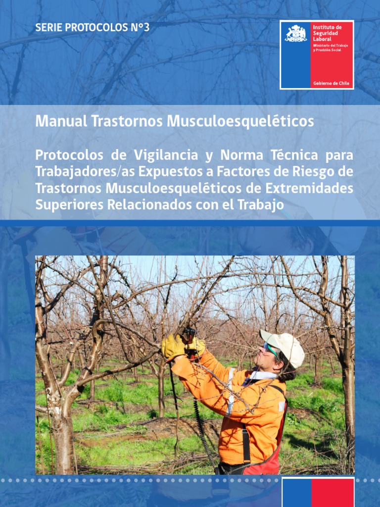 3.protocolo Tmert EESS | PDF | Seguridad y salud ocupacional | Factores humanos y ergonomía