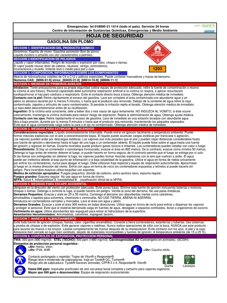 HS MSDS Gasolina CISTEMA PDF | PDF
